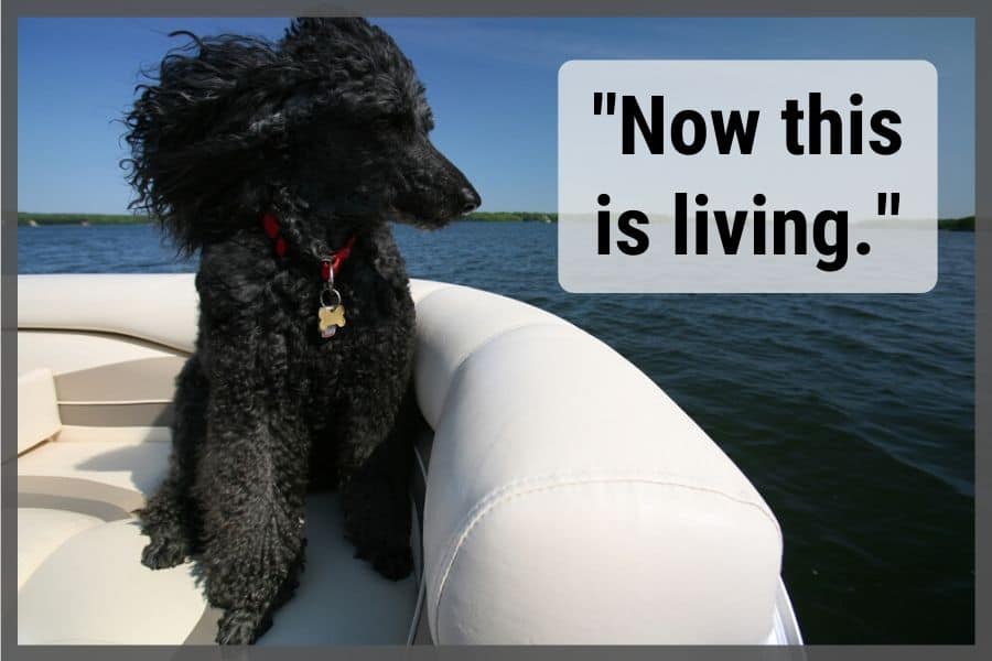 How to Make a Dog Ramp for a Pontoon Boat – Sir Doggie