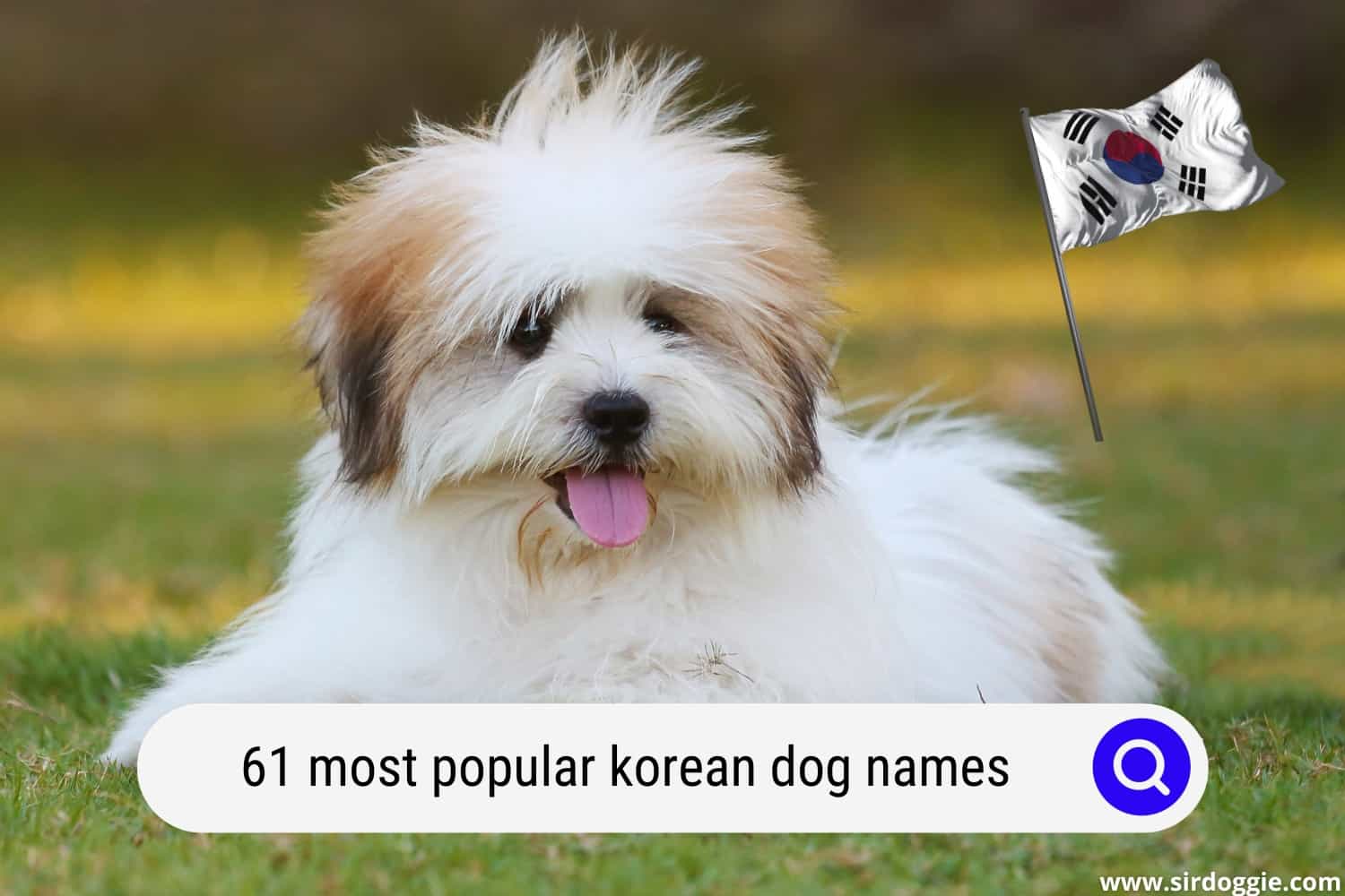 61 Of The Most Popular Korean Dog Names - SirDoggie.com