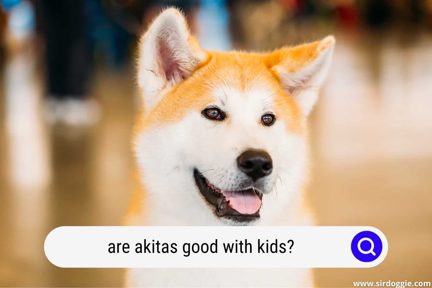 Are Akitas Good With Kids? [KIND OF...] - SirDoggie.com